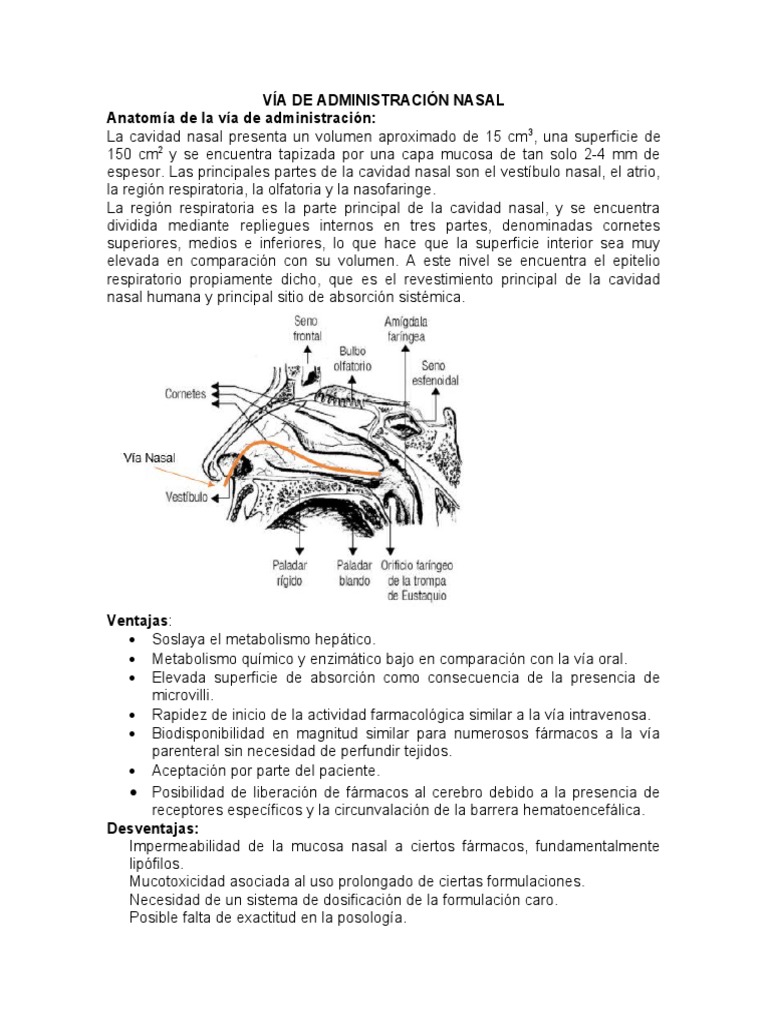 Vía de Administración Nasal | PDF | Farmacología | Medicina CLINICA