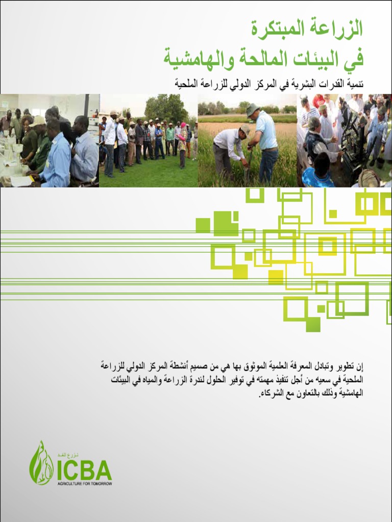 Capacity Building Brochure | PDF