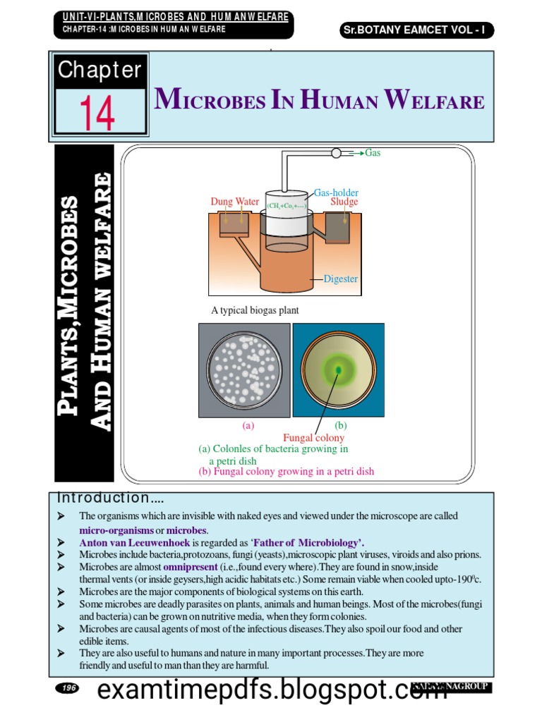 8.CH-14 MICROBES IN HUMAN WELFARE (196-216) Final | PDF | Sewage ...