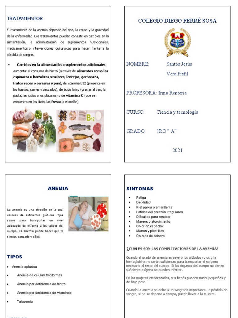Diptico de Espacio Personal | PDF | Anemia | Glóbulo rojo