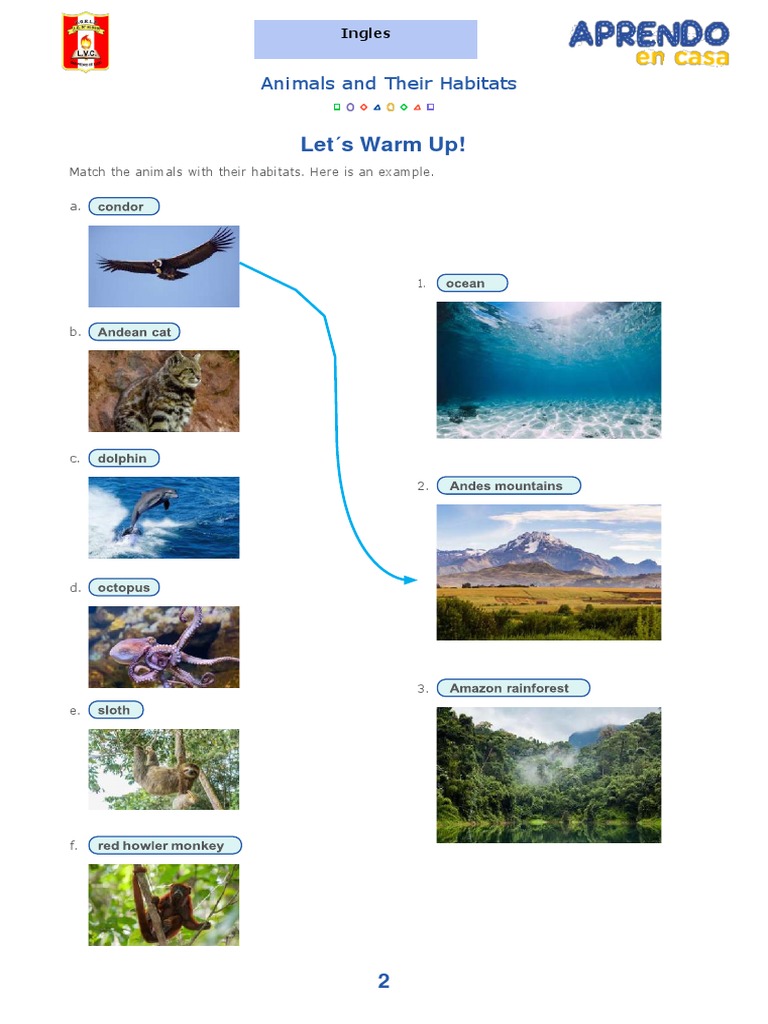 DIA5 - INGLES-Animals and Their Habitats | PDF | Andes | Zoology