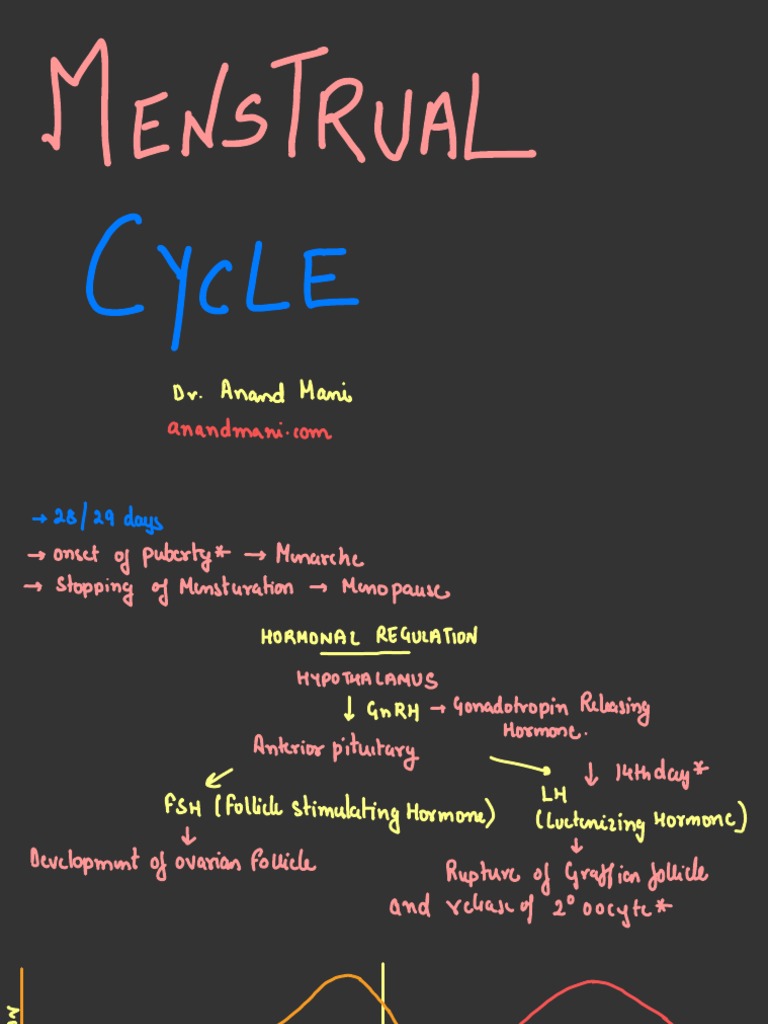 Menstrual Cycle | PDF | Menstrual Cycle | Female Mammals