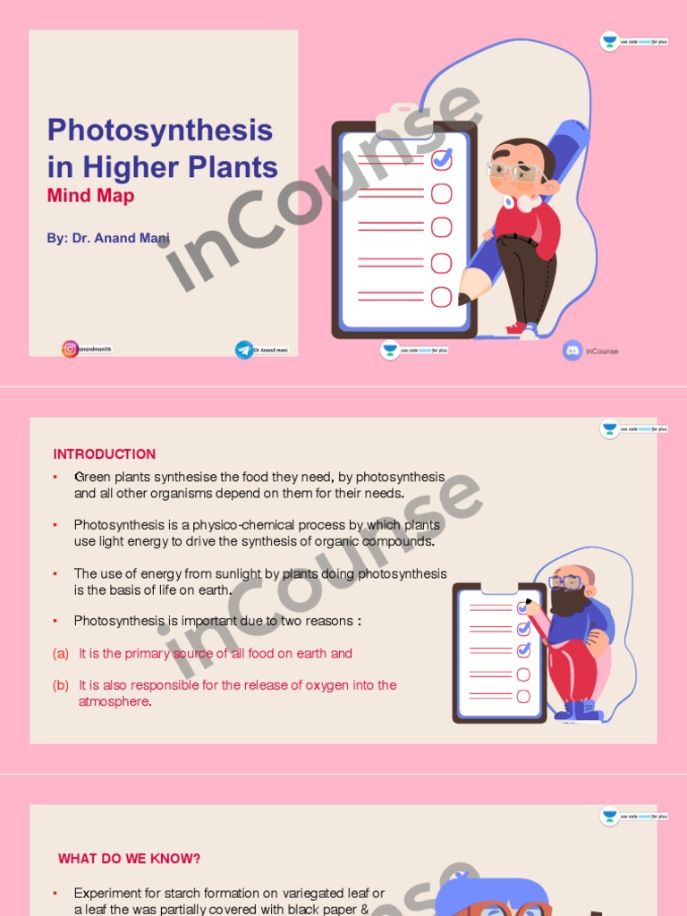Photosynthesis in Higher Plants: Mind Map | PDF | Photosynthesis ...