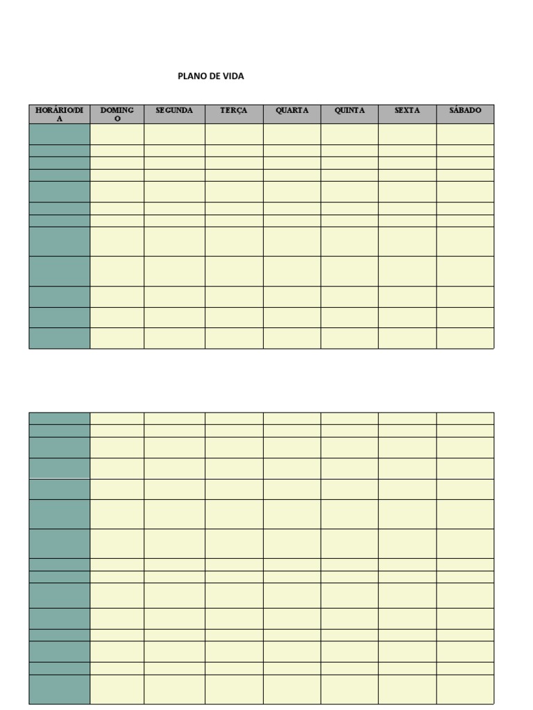 Plano de Vida | PDF