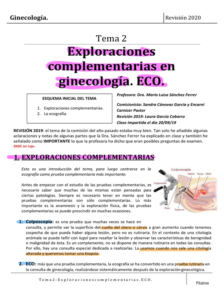 Exploraciones Ginecológicas: ECO | PDF | Ovario | Ultrasonido médico