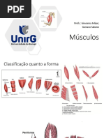 Músculo Abdutor Longo Do Polegar - Origem, Inserção - Kenhub | PDF ...