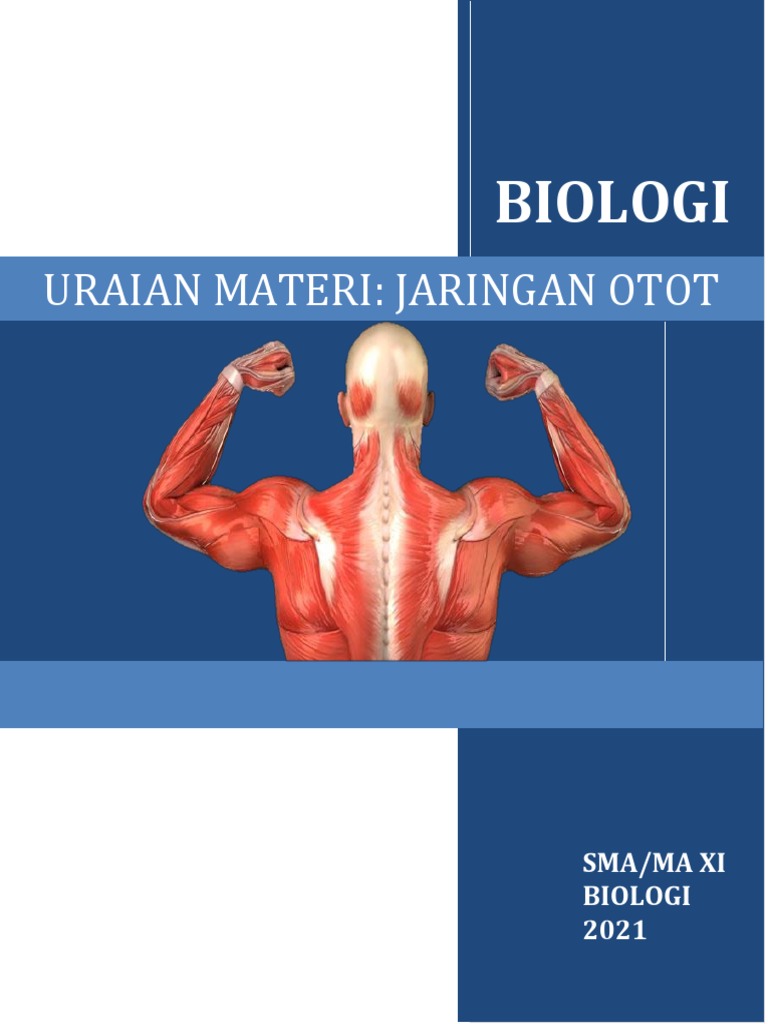 Materi Jaringan Otot | PDF
