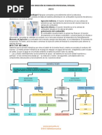 Manual Luminometro Hygiena SystemSURE Plus | PDF | Software | Microsoft ...