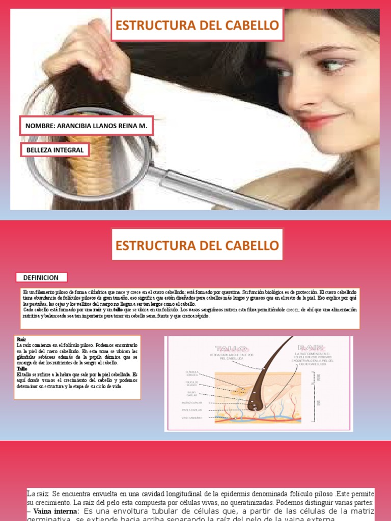 Estructura Del Cabello | PDF | Pelo | Anatomía
