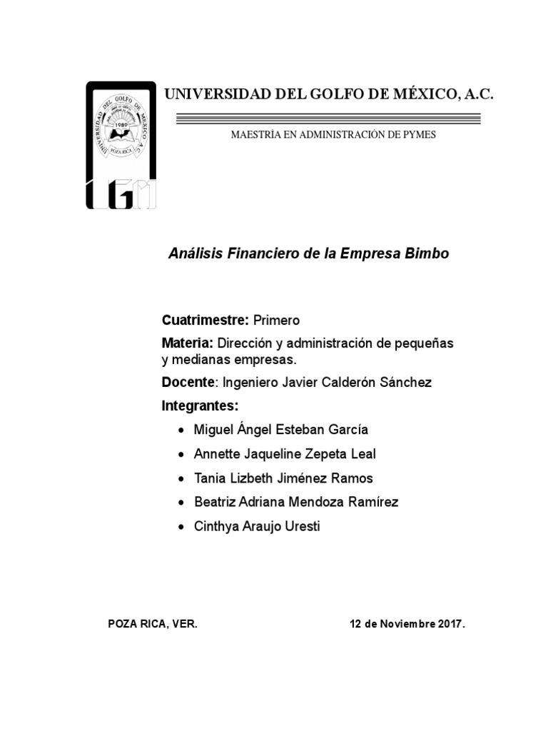 Análisis Financiero - Empresa Bimbo | PDF | Contabilidad | Economias