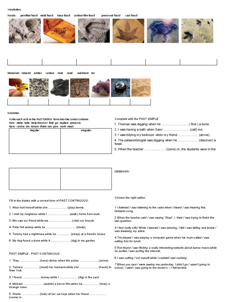 Fossils: Petrified Fossil Mold Fossil Trace Fossil Carbon-Film Fossil ...
