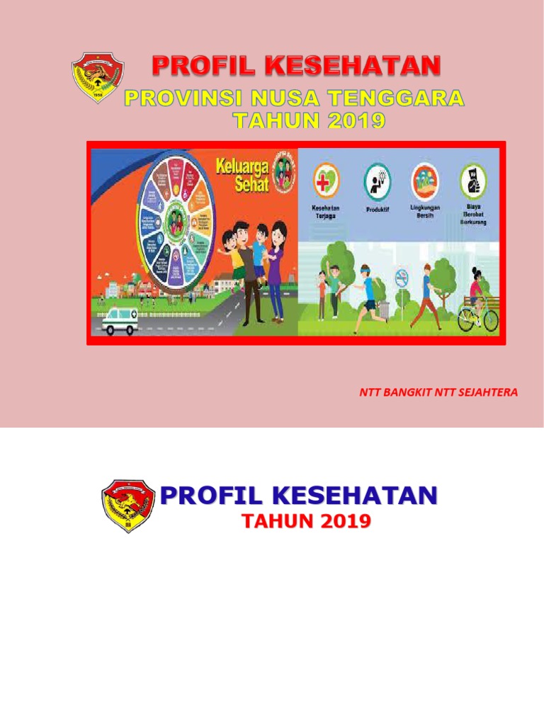 14 - Profil Kesehatan NTT 2019 | PDF