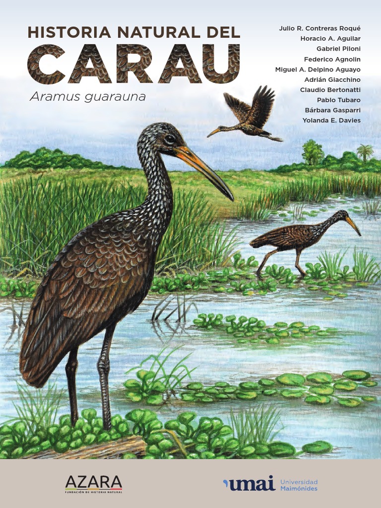 Leyenda del Karau en Paraguay | PDF | Paraguay