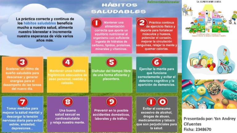 Infografia Estilo de Vida Saludable | PDF