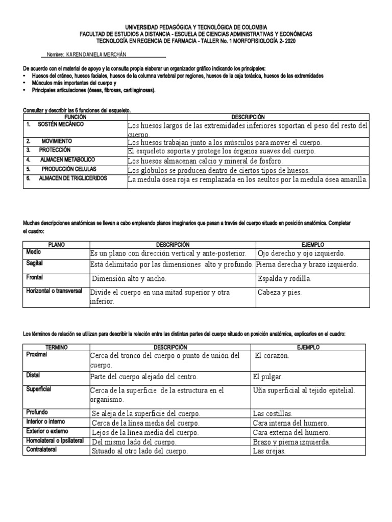 Merchán Karen Morfofisiologia# | PDF | Hueso | Articulación