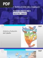 Dryopithecus | PDF | Hominidae | Homo Sapiens