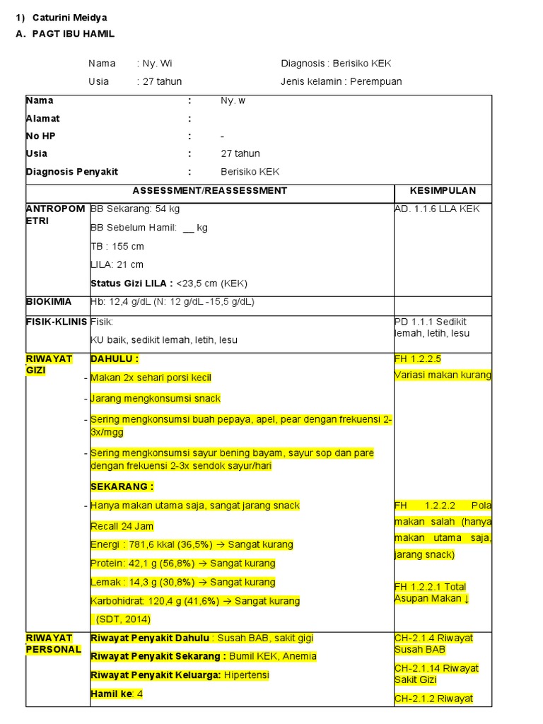 Contoh Pagt Ibu Hamil | PDF