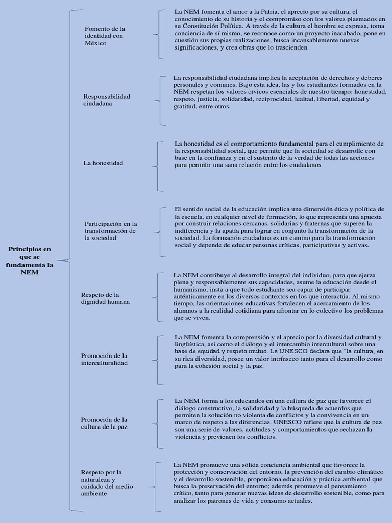Principios de La NEM | PDF | Desarrollo sostenible | Interculturalidad