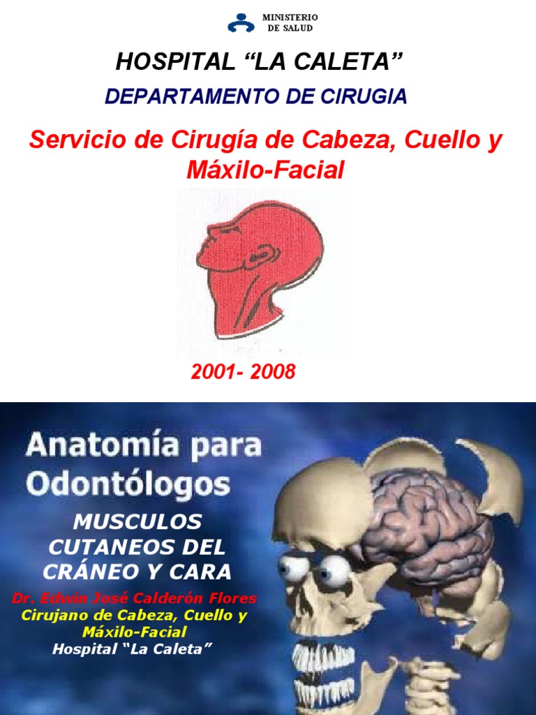 Músculos Cutaneos de Cara y Cráneo | PDF | Anatomía humana | Cabeza y ...