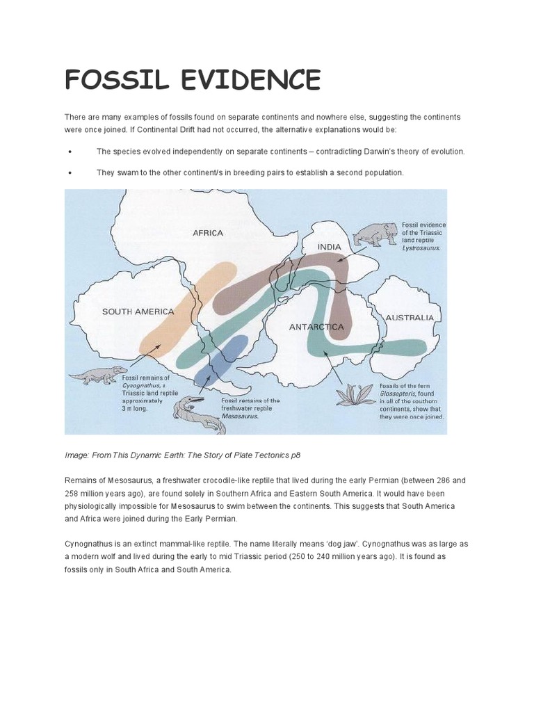 Fossil Evidence | PDF | Plate Tectonics | Earth's Magnetic Field