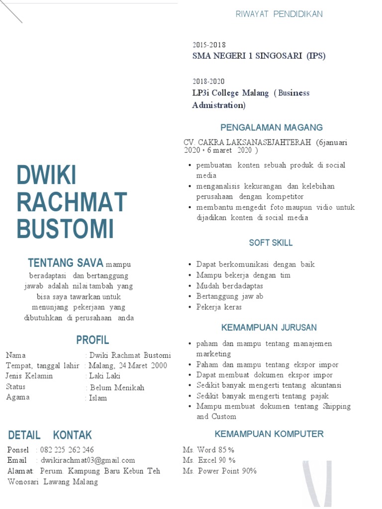 Dwiki Rachmat Bustomi CV (Kompres) | PDF