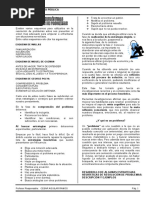 Formato Escala WEEFIM | PDF | Cognición | Sicología