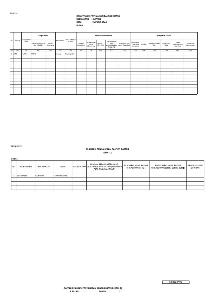 Format DPM-2 | PDF