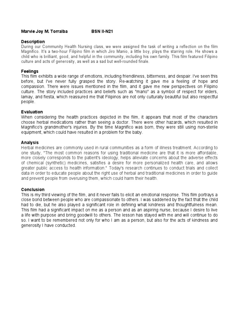 Sample CHN Reflection (Gibbs) | PDF | Nursing | Health Care