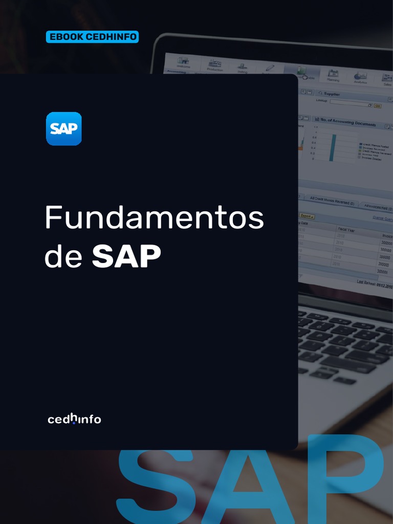 Ebook Sap | PDF | Planificación de recursos empresariales | Business