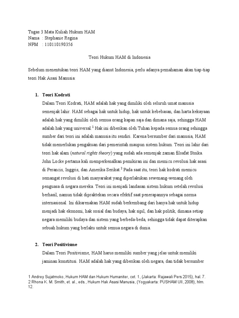 Teori Hukum HAM di Indonesia | PDF