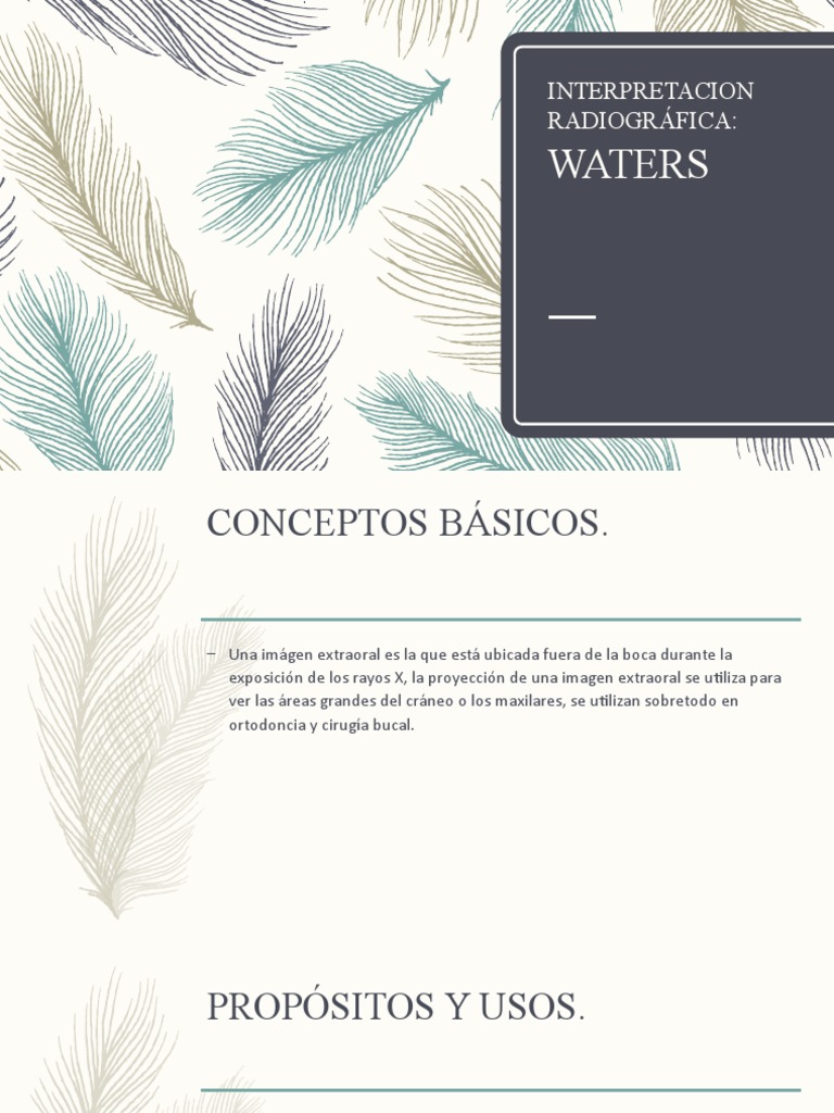 Proyección Waters: Guía Completa | PDF | Anatomía humana | Cabeza y ...