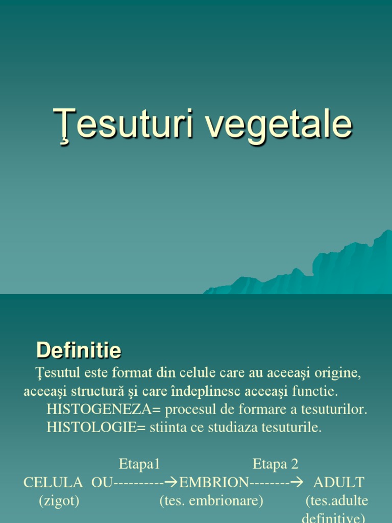 Tesuturi Vegetale - PPT | PDF