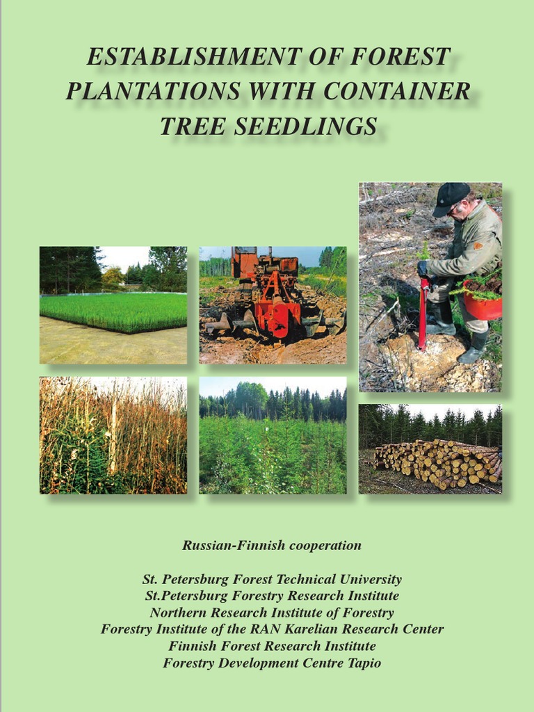 Establish Forest Nursery | PDF | Plant Nursery | Soil
