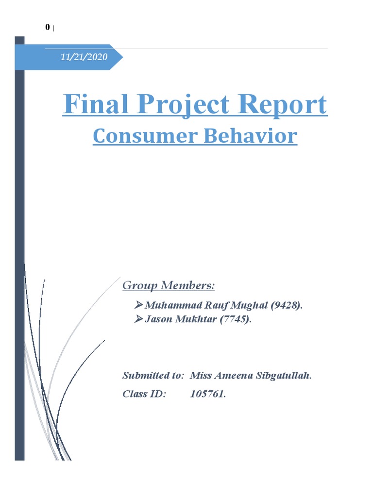 Consumer Behavior - Final Project Report | Download Free PDF | Brand ...