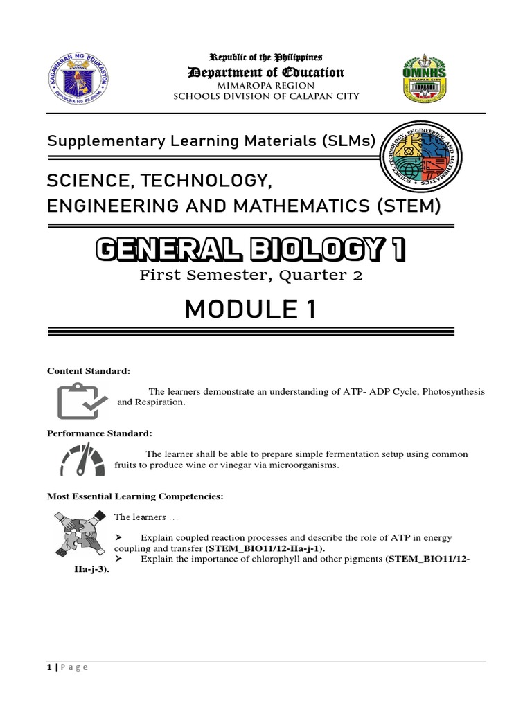 Genbio1 Module-1 Q2 | PDF | Chlorophyll | Adenosine Triphosphate