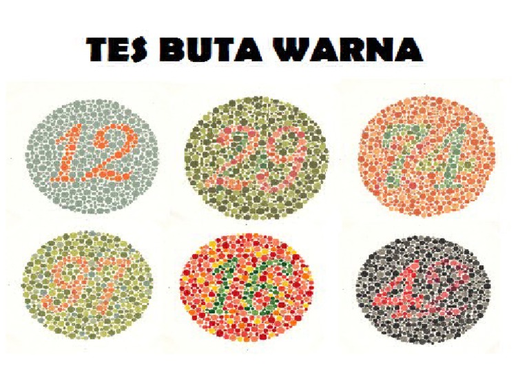 Test Buta Warna | PDF