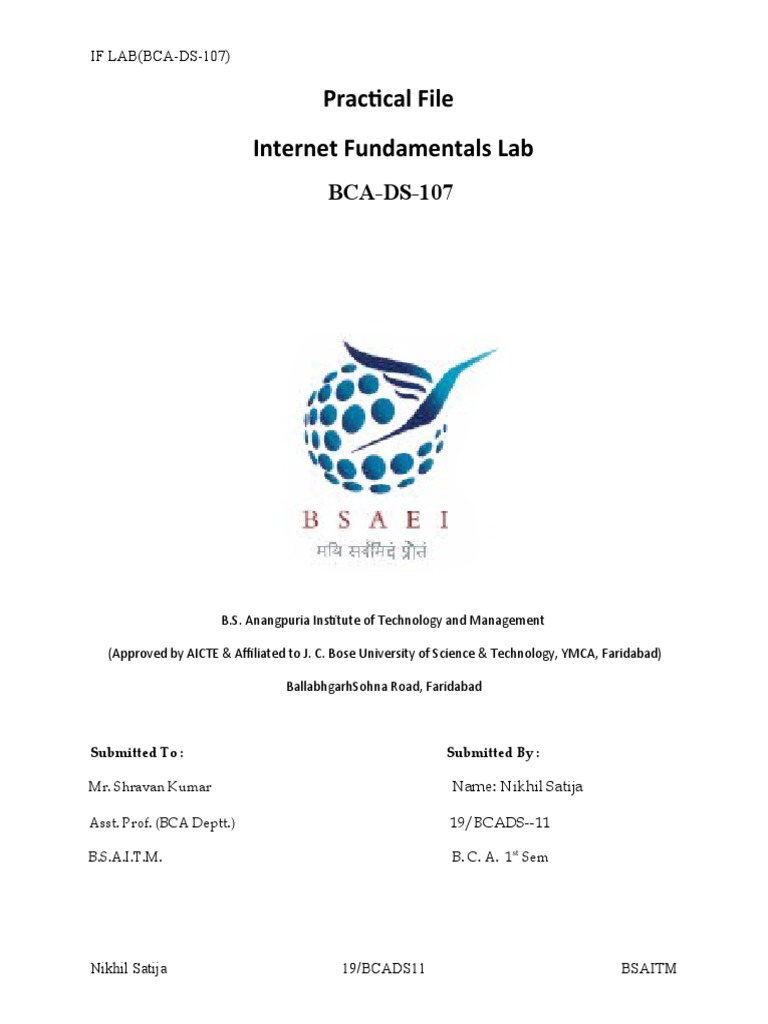 Practical File Internet Fundamentals Lab: BCA-DS-107 | PDF | Html ...