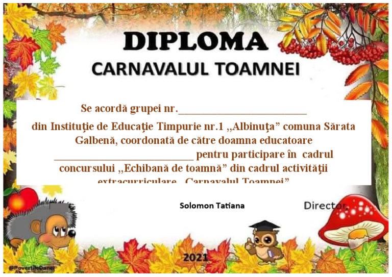 Diploma Toamna | PDF