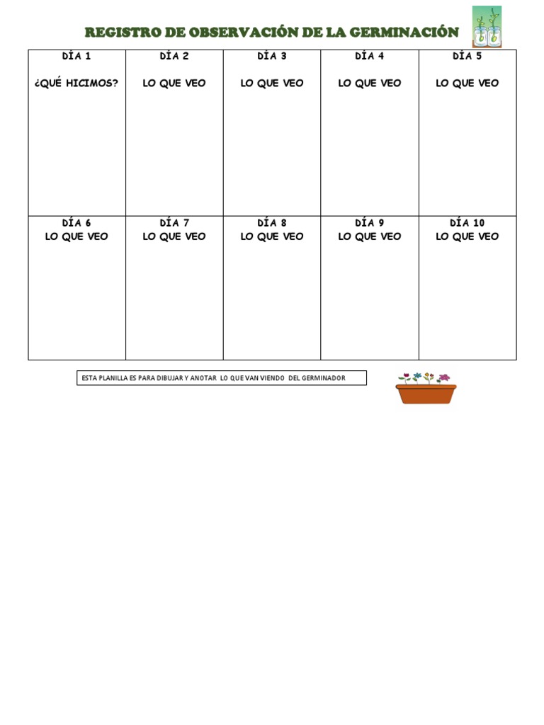 Registro de Observación de La Germinación | PDF