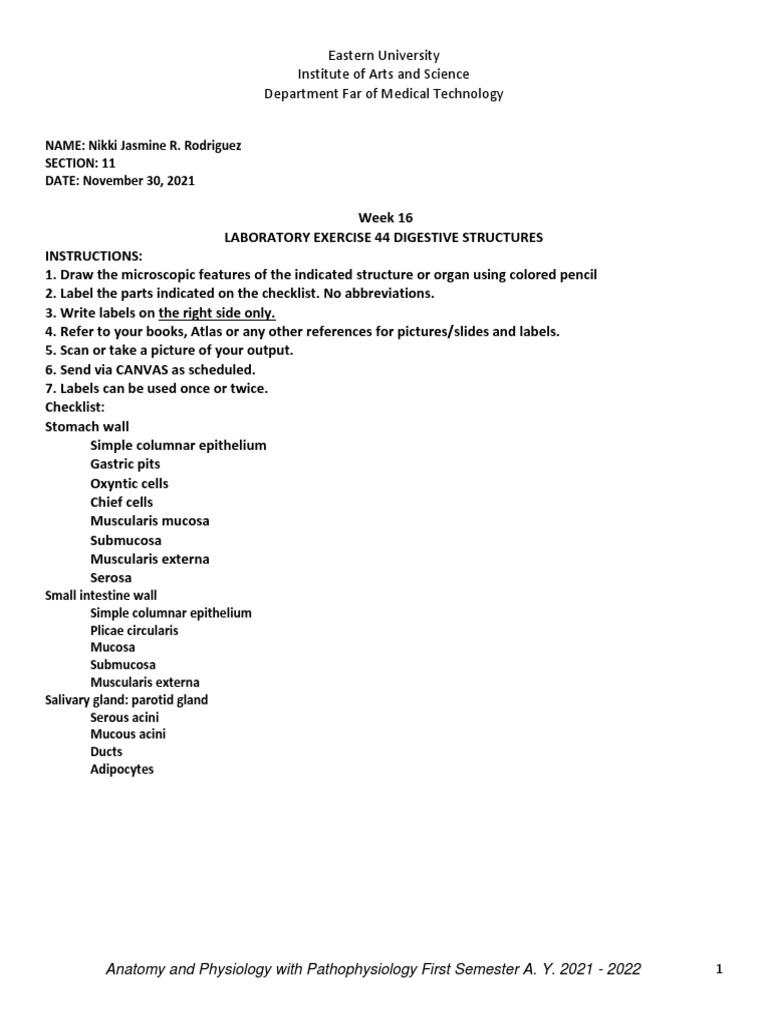 Lab Report 44: Digestive Structures | PDF | Stomach | Gastroenterology