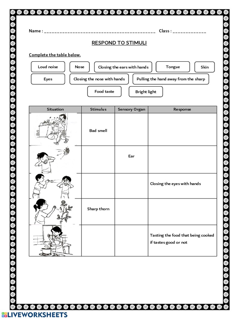 Worksheet Respond To Stimuli | PDF