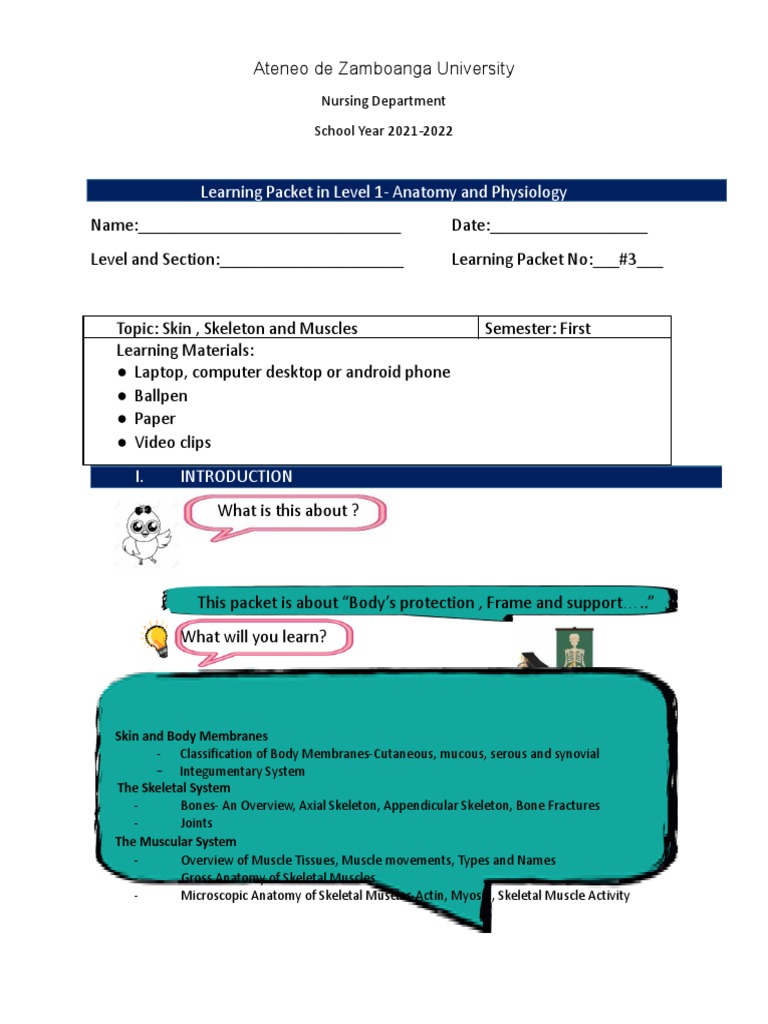 Packet Anatomy Week 3 Packet 3 | PDF | Muscle | Skeleton