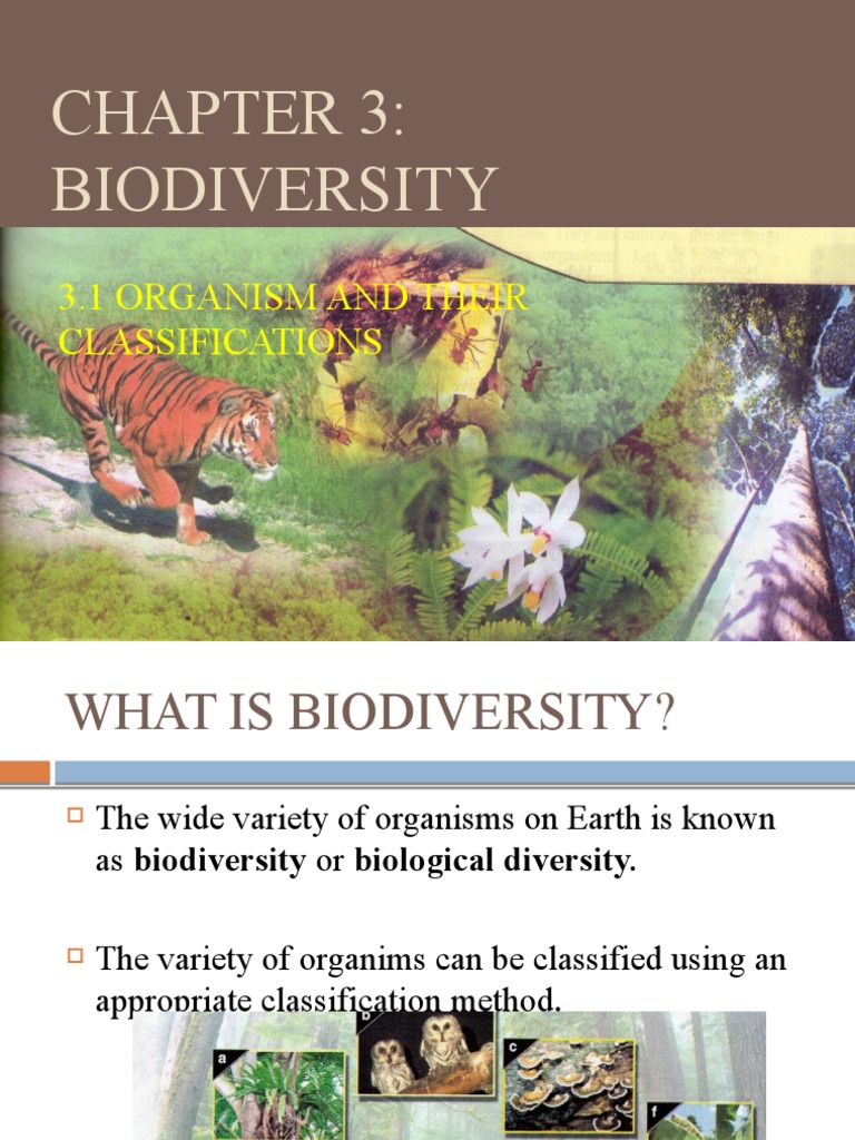 Understanding Biodiversity and Classifications | PDF | Amphibian | Egg