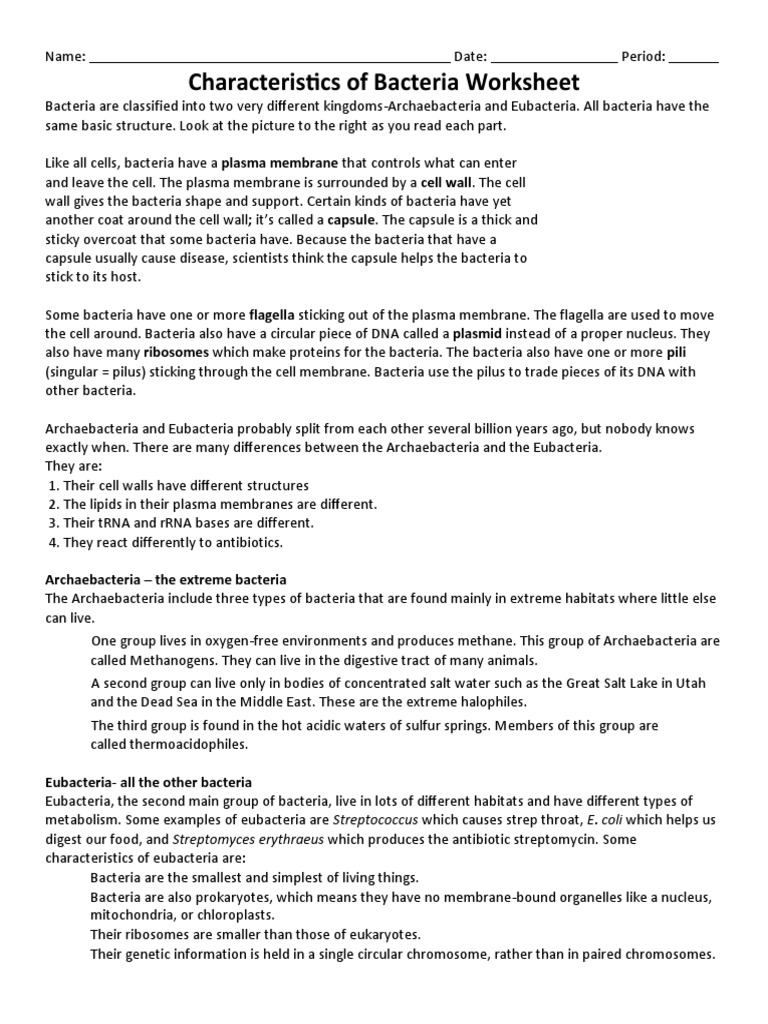 Characteristics of Bacteria Worksheet: Archaebacteria - The Extreme ...