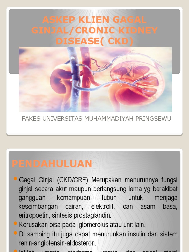 Askep Gagal Ginjal | PDF