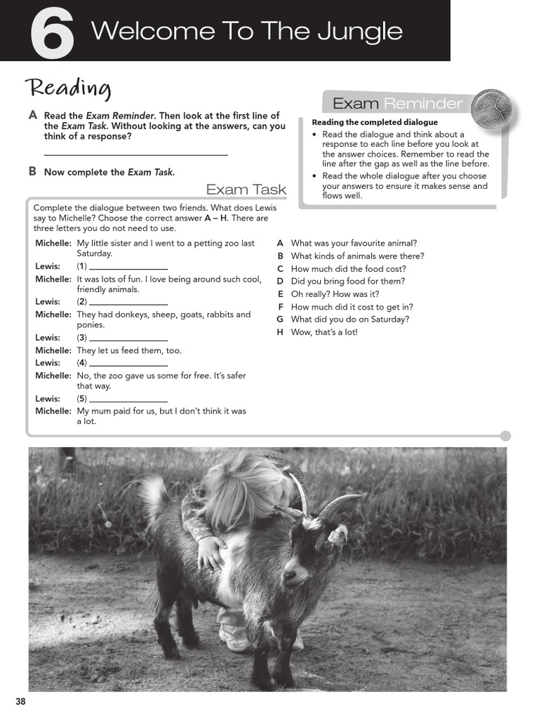 Exam Prep: Animal Dialogue | PDF | Parrot | Zoology