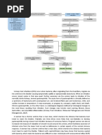 UTI Pathophysiology Flowchart | PDF