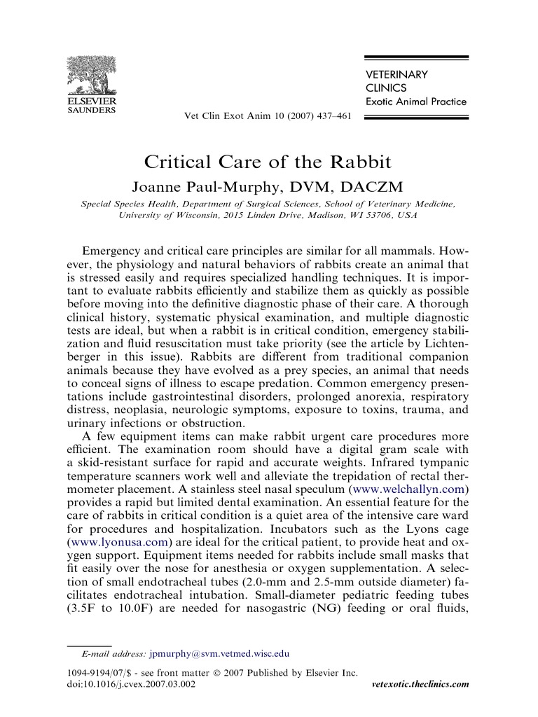 Critical Care of The Rabbit | PDF | Chronic Kidney Disease | Medicine