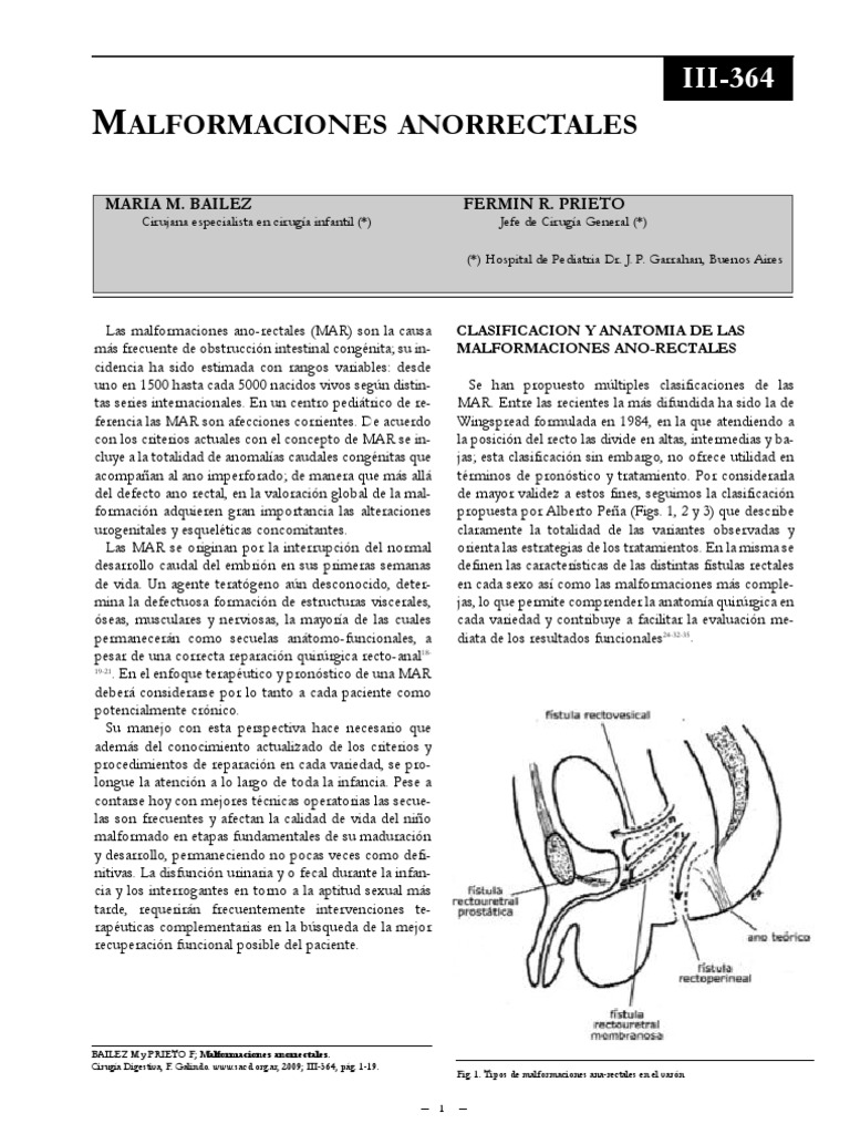 4-Malformaciones Anorrectales | PDF | Medicina CLINICA | Anatomía
