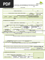 DIAT Word Formato | PDF